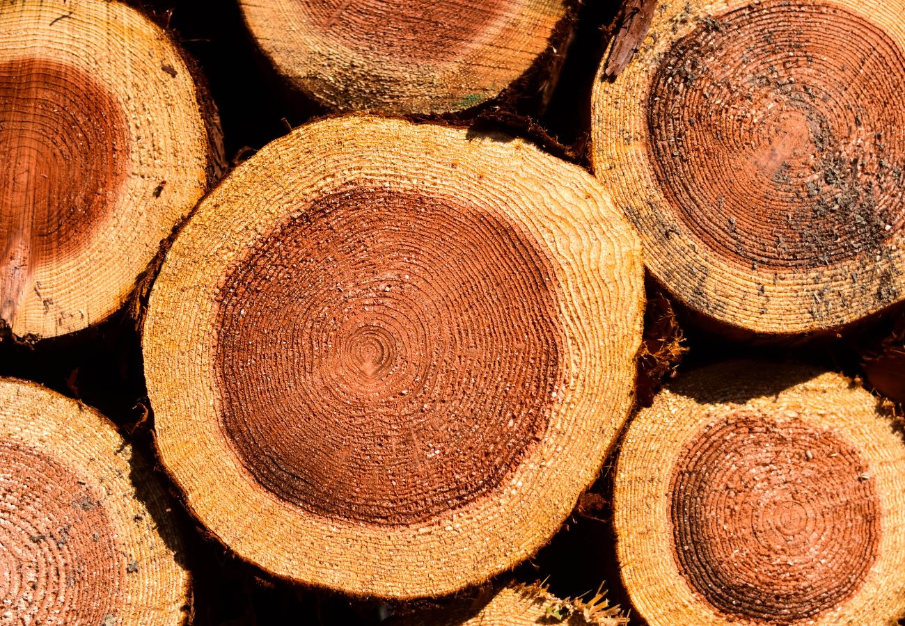 Blogs | How to Build a Model Ship at Old Modern Handicrafts